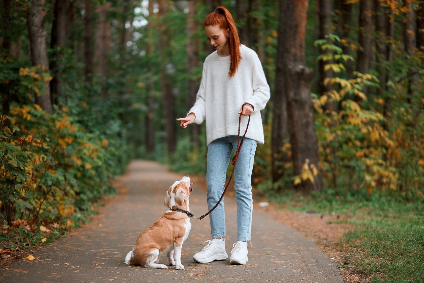 Marissa Corbett of Shamong NJ: Understanding Canine Body Language: How ...
